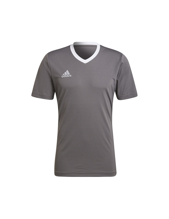 Koszulka męska adidas Entrada 22 Jersey szara - sklep sportowy KajaSport